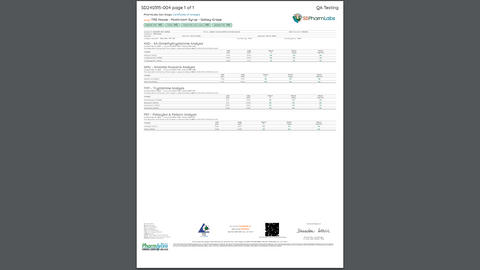 TRE HOUSE: MAGIC MUSHROOM SYRUP – DESPENSARY